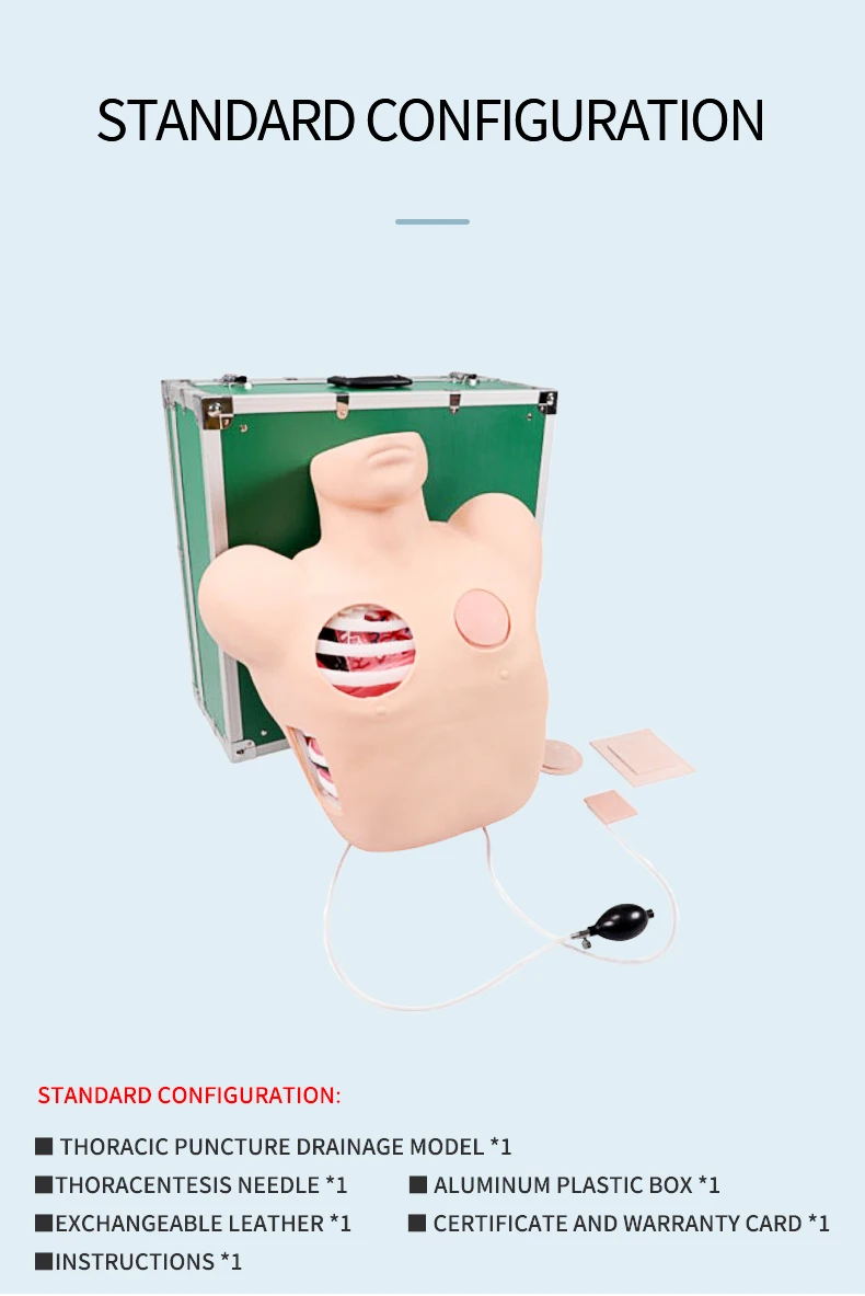 Pleural Puncture Drainage Model Thorax Puncture Drainage Model Chest ...
