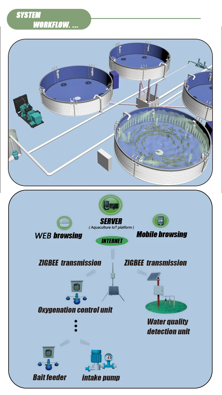 Alibaba.com: Indoor Aquaculture Equipment Recirculating Fish and Shrimp ...