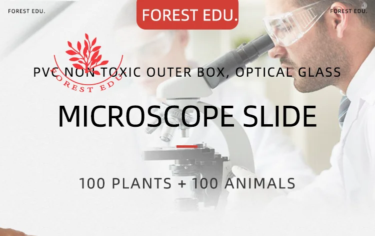 Botany+animals Prepared Slides - Educational Microscope Sets
