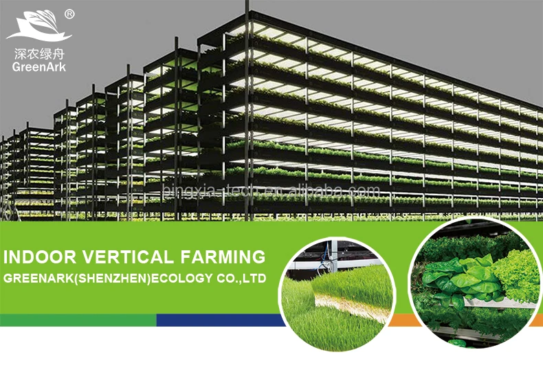 Lettuce Salad Planting Rack - Fully Automatic Hydroponics