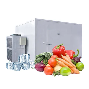 2hp Side-mounted Installation Monoblock Condensing Unit For 30 Cubic Meter Cold Room ...