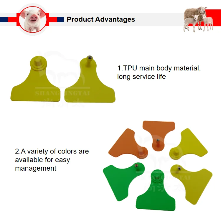 Gps Ear Tags Pig Farm Tools Pig Farm Equipment In Nepal Wholesale ...