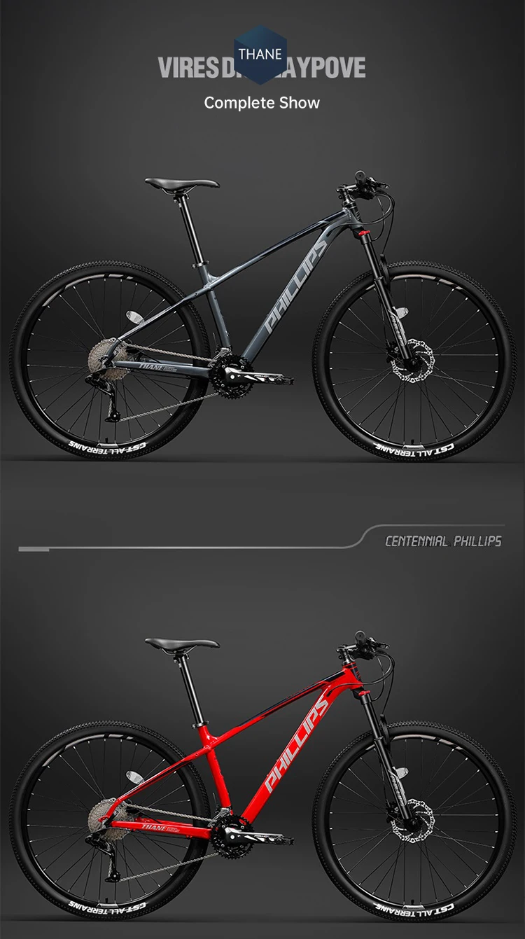 2023 Phillips Hot Sale Runner Bike 26/29 Inch 30/33 Speed Aluminum ...