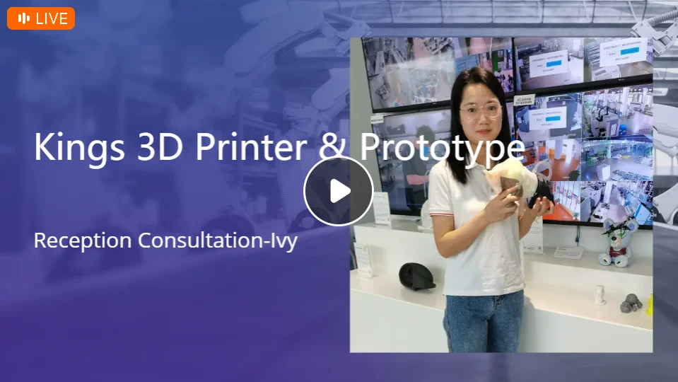 Kings 3D Printer & Prototype Reception Consultation-Ivy Product Show Stream 2023 - Alibaba.com