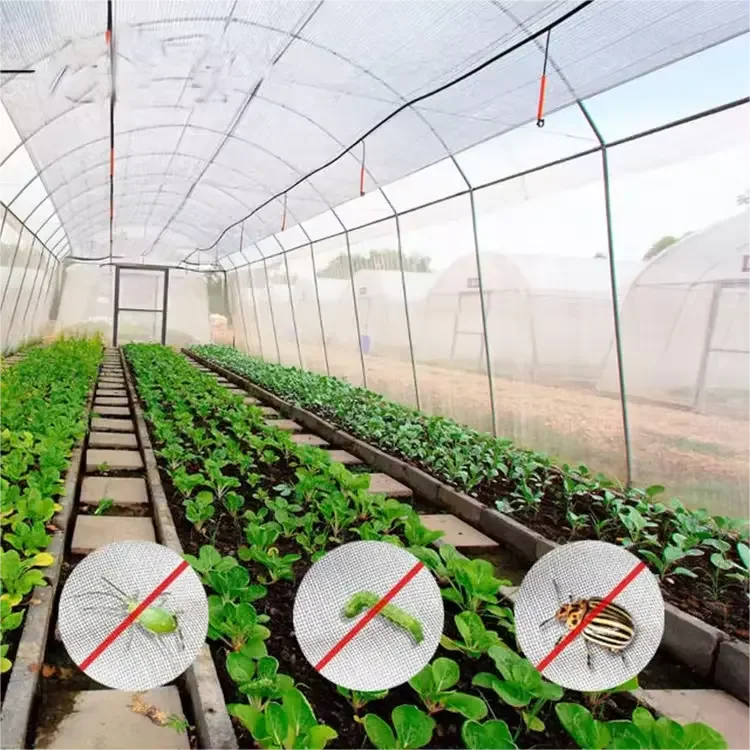 10 Mesh Agricultural Anti Insect Net for Low Tunnel Farming