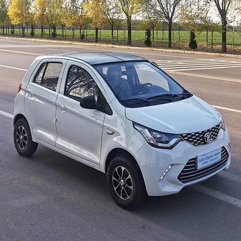Modern Style 2024 E-mobility New 100% Electric Car Without Registration ...
