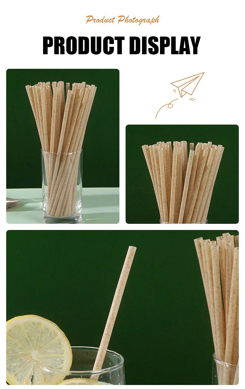 100% Biodegradable Compostable Plastic Free Disposable Straw Sugarcane ...