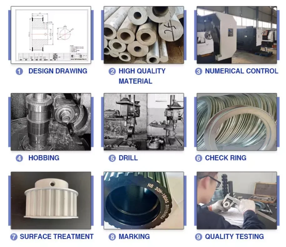 Professional Factory Supply Metal Spur Gears Manufacturer Steel Spur Gear