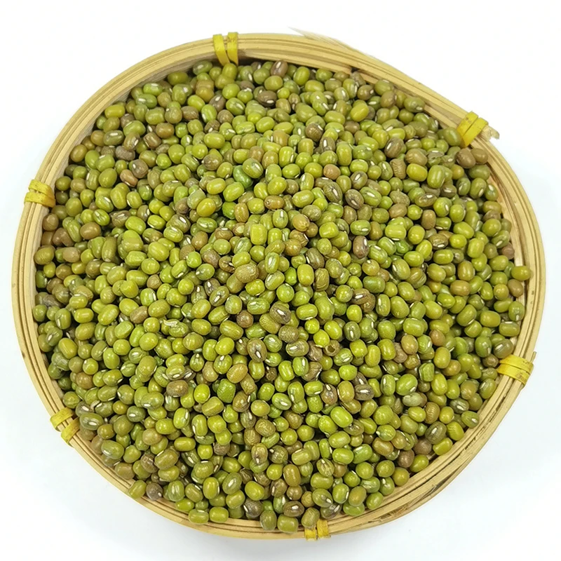 Inner Mongolia Origin Mung Bean Sprouting Grade Green Bean for Vietnam ...