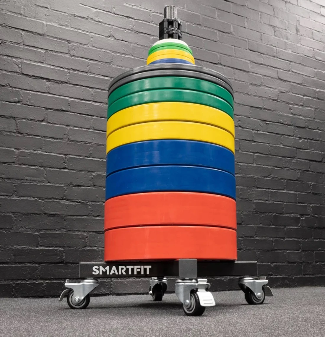 SMARTFIT Vertical Storage Weight Plate Rack Portable Holder With Caster ...
