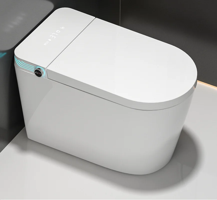 One Piece Ceramic Intelligent Water Closet - Smart Toilet