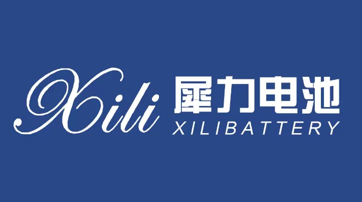 Company Overview - Shandong Xili Power Source Co.,ltd.