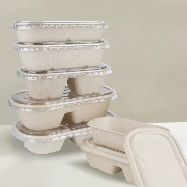 Gloway Sugar Cane Restaurant Fast Food Bento Disposable Takeout ...