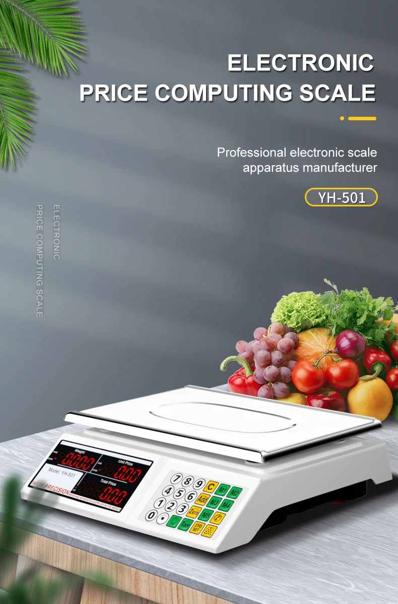 40kg ACS Price Computing Scale - Accurate Digital Weight Machine