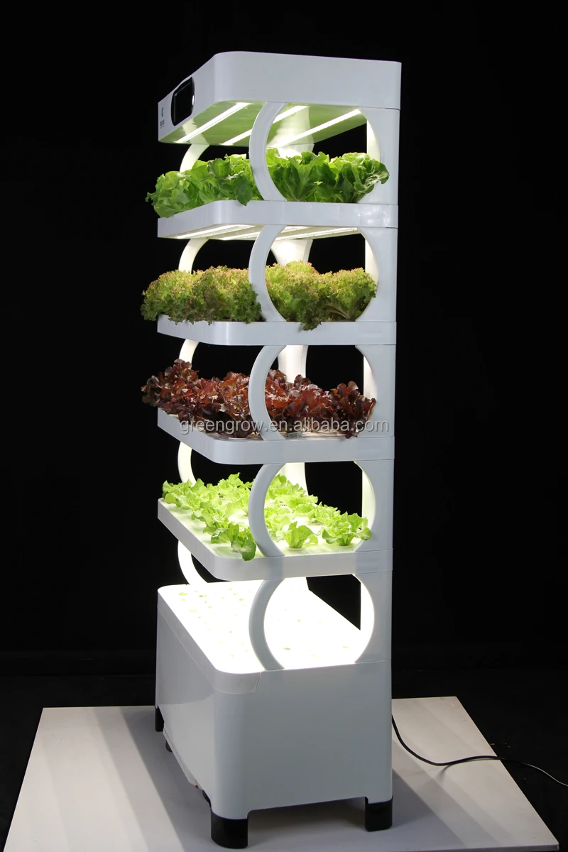 Indoor Hydroponic Growing Systems - Efficient & Automatic