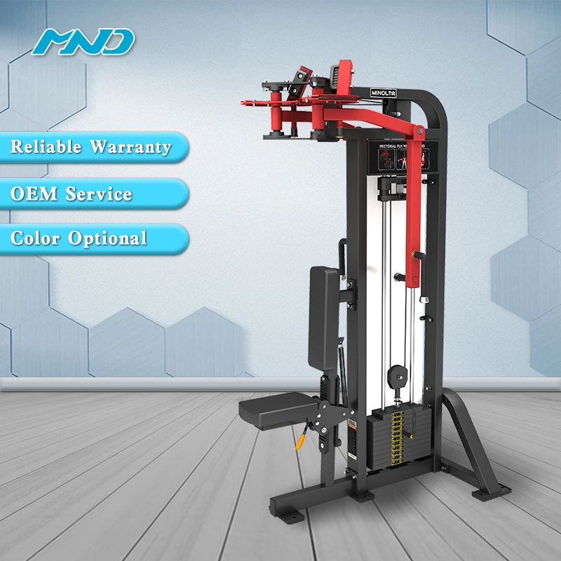 High Quality Circle Gym Hydraulic Cylinder Fitness Gym Equipment Biceps ...