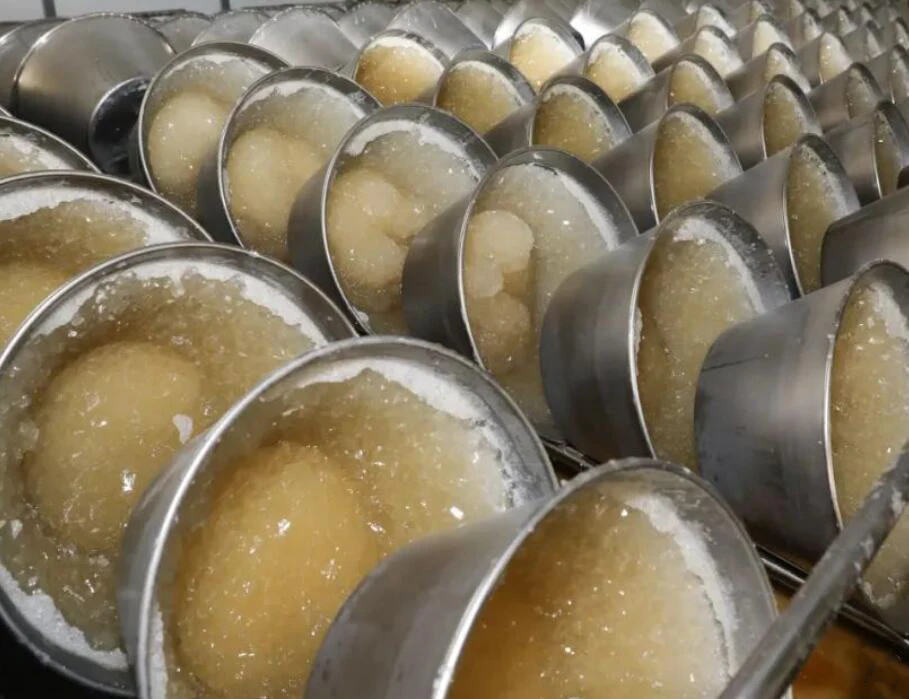 Chinese Sugar Crystallizer Equipment - Rock Sugar Machine