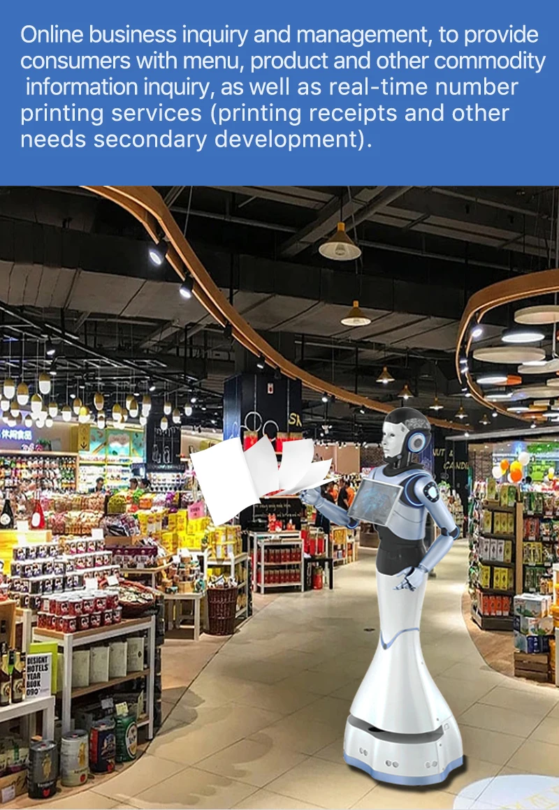 Dreambot - Humanoid Service Robot for Commercial Use