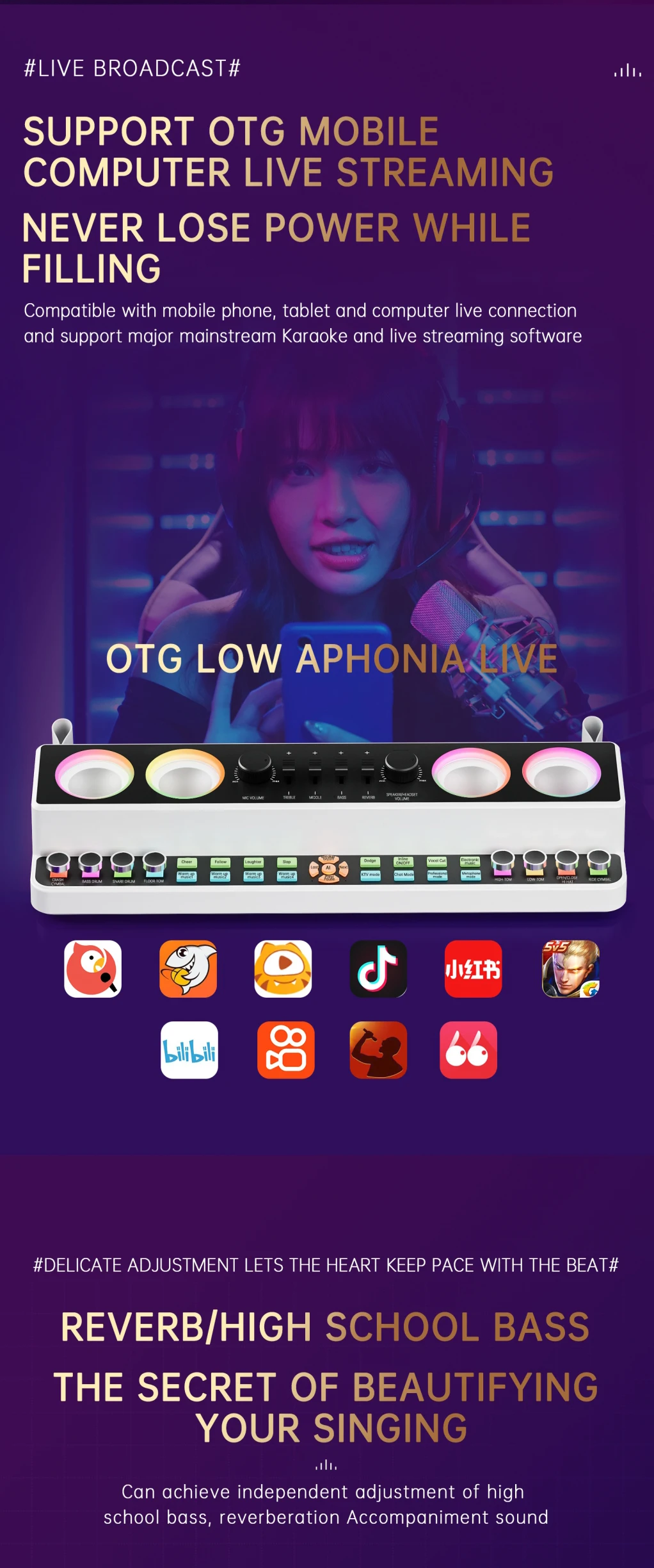 Live Sound Card Audio Integrated Set for Live Broadcast