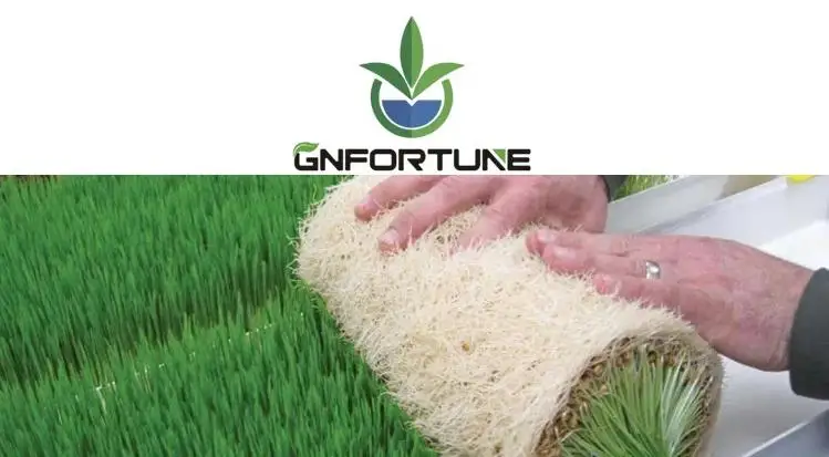 Vertical Hydroponic Microgreen Trays Grow System for Sale