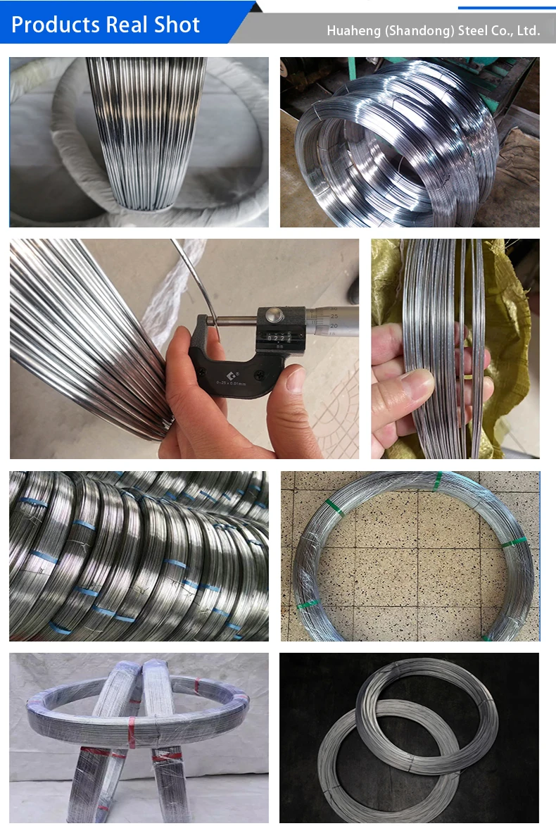 Hot Dipped Steel Wire Manufacturer High Strength Galvanized Steel Oval ...