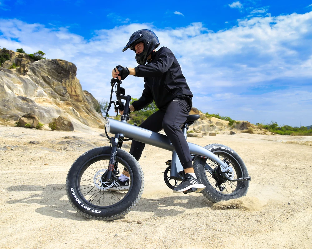 USA Stock 100 km Series 2 wheel Drive Electric Bike 20 " 750w 48v Large ...
