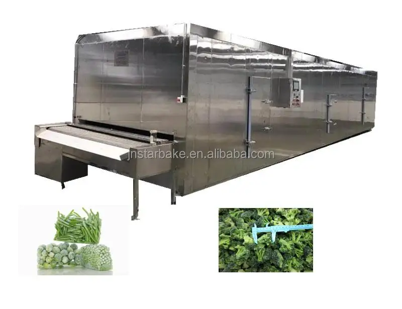 2025 Year Whole Vegetables Mushroom Okra Beans Pea Blast Freezing ...