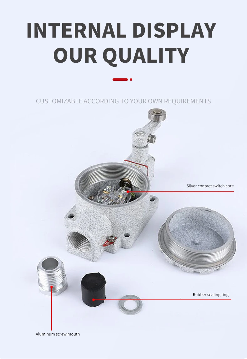 Explosion Proof Limit Switch Explosion-Proof Electrical Travel Switch ...