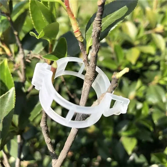 25 Mm Reusable Plastic Plant Support Clips For Vegetable Garden Set ...