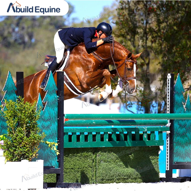 New Design Competition Horse Products Jumping Fence Show Jumping
