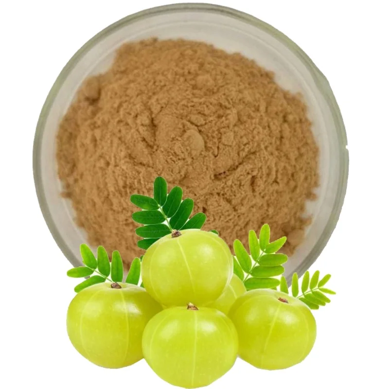 Amla Powder Organic Indian Gooseberry Amla Extract Amla Hair Powder ...
