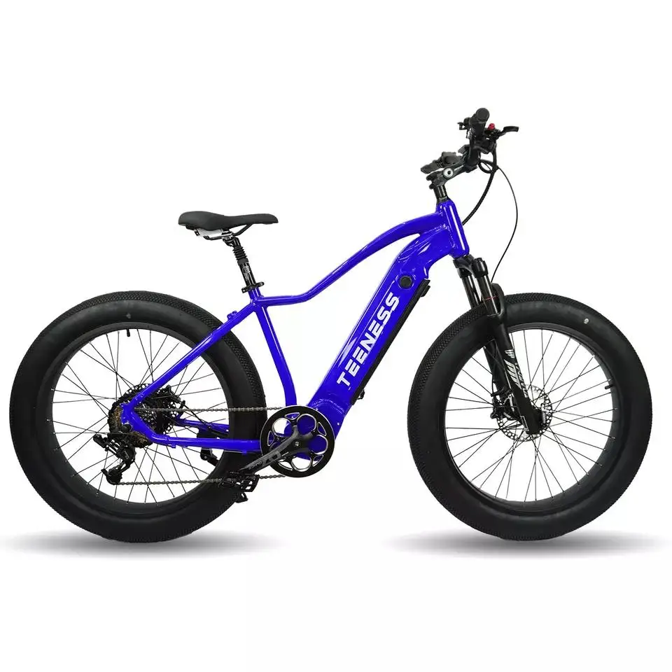 Teeness Full Suspension 26inch Fat Tire Adult Ebike Conversion Kit Bici ...