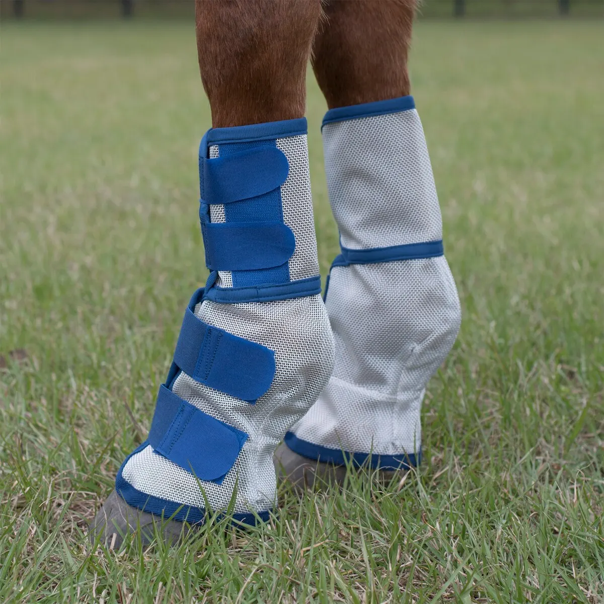 Wholesale Equestrian Product - High Quality Fly Mesh Horse Boots