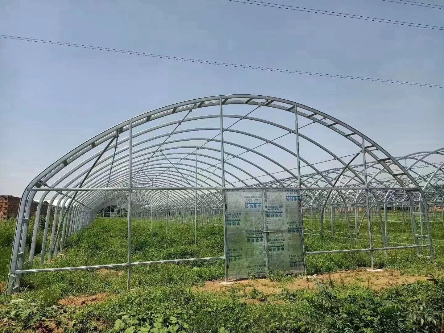 Large Plastic Agricultural Greenhouse Tunnel Vegetable Greenhouses For ...