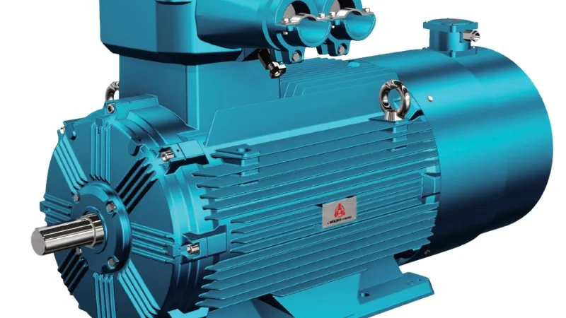 Wolong Ybbp 3-phase Variable Frequency Explosion Proof Flame Proof Ac ...