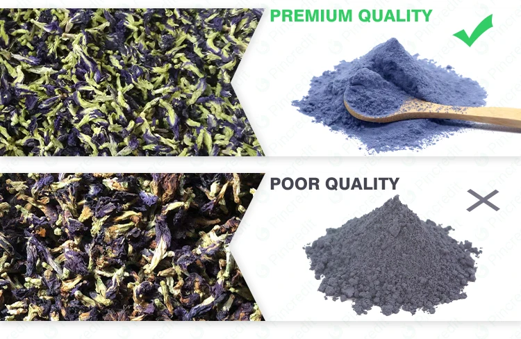 Organic Blue Matcha Butterfly Pea Flower Powder - 450 Mesh
