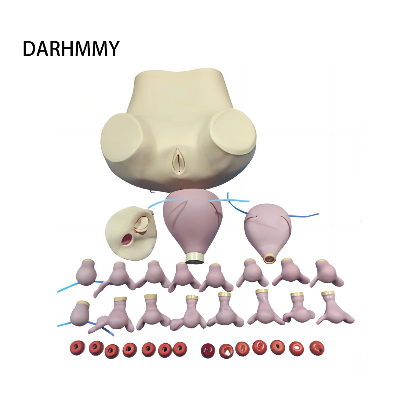 DARHMMY Gynaecological Examination Training Model for Obstetrics