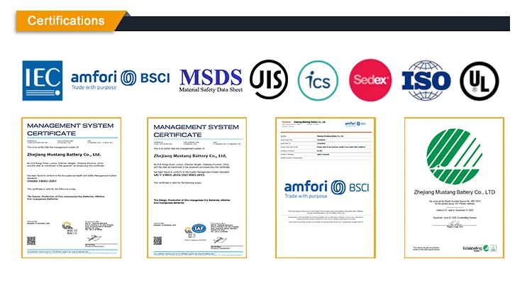 Raymax LR6 AA Batteries - Reliable 1.5V Alkaline Power