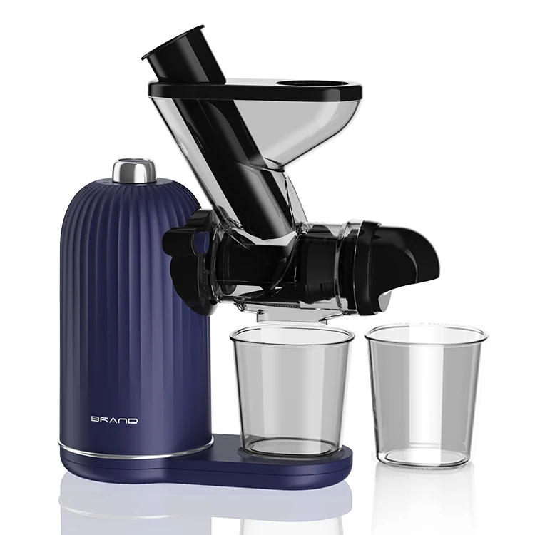 Top Quality Mini Double Mouth Slow Cold Press Juicer Machine Extractor ...