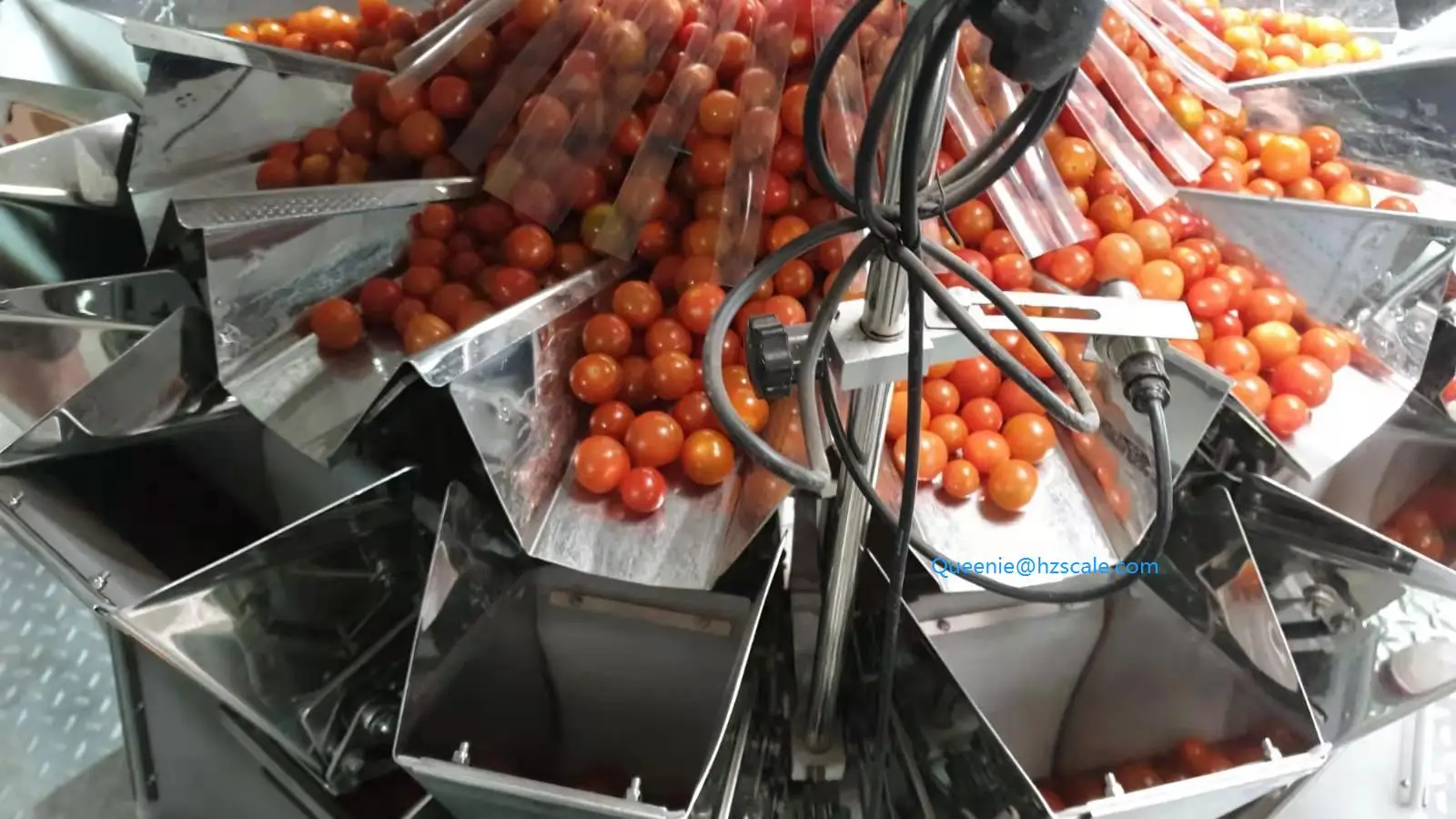 Automatic Cherry Punnet Plastic Clamshell Filling Machine