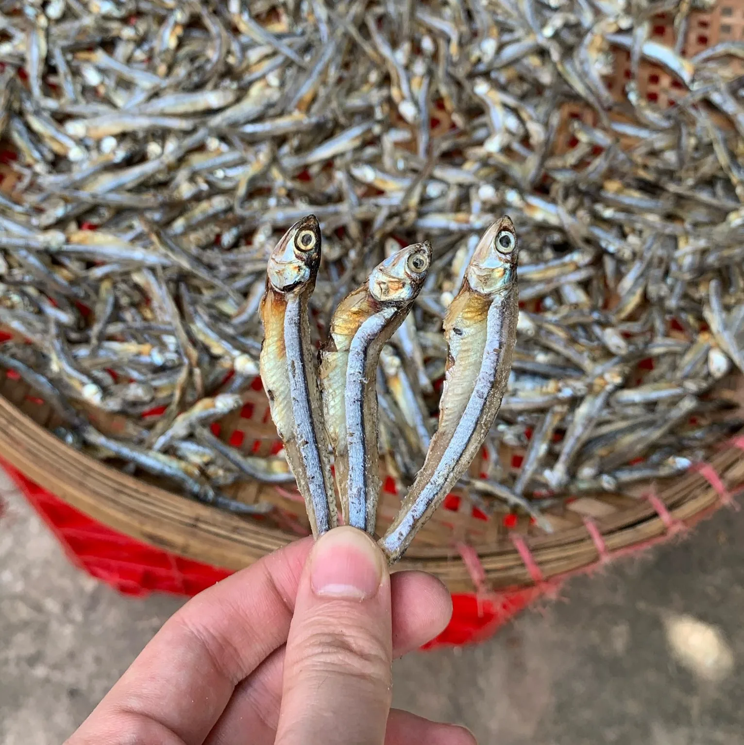 Dried White Anchovy Fish Fillet Packing Bulk Oem - Seafood(at)linda(dot ...