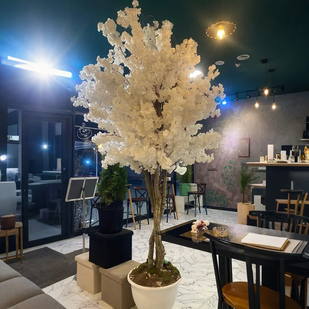 Tik Tok YouTube Instagram Latest Hot Sale Customizable Pink White ...