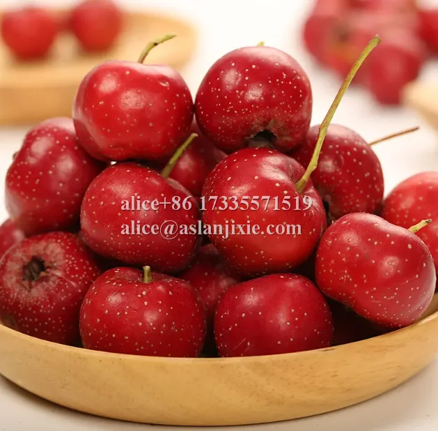 Hawthorn Fruit Seed Pitting Machine/ Cherry Seed Remover Cutting ...