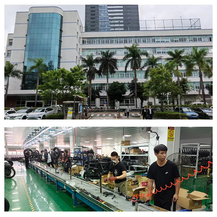 40 Mph Electric Bike 250w Electric Bicycle 750w Fat Bike Elettrica V20 ...