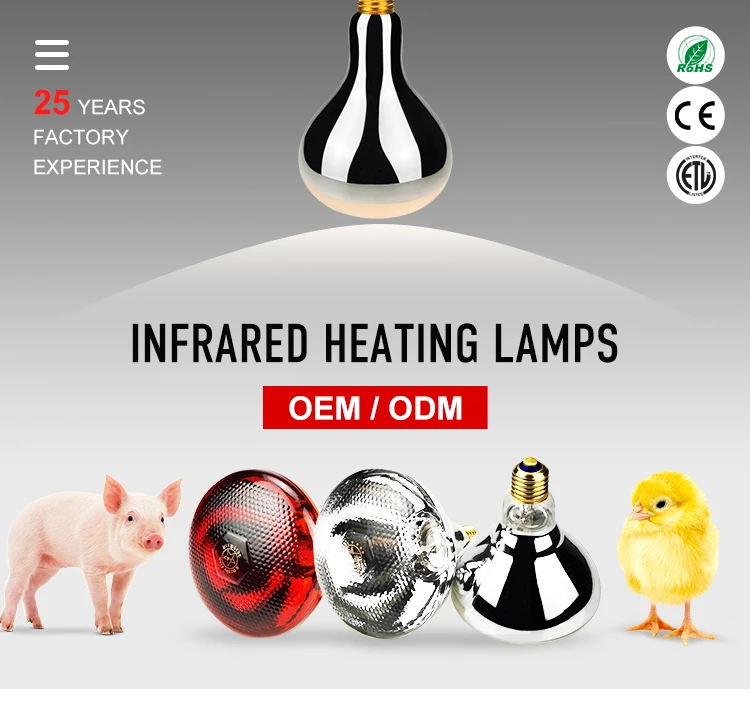 Bongbada R125 100w Clear Ceiling Mounted Infrared Bath Bully Heat Lamp ...