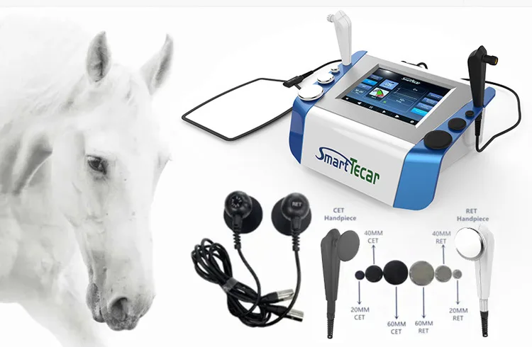 2 Handles Ret Cet Physio Therapy Device for Horses Body Pain Treatment ...