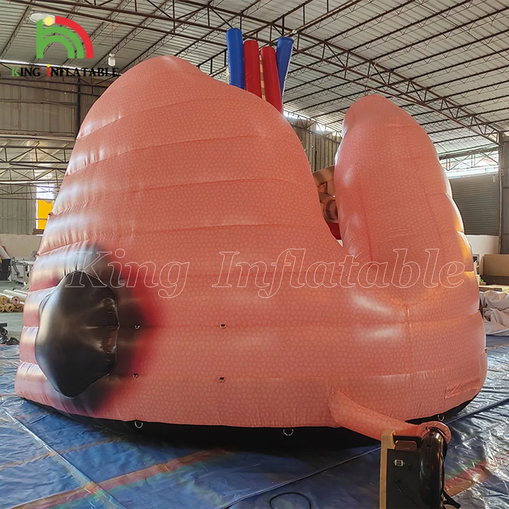 Customized Inflatable Lung Human Organs for Medical Exhibitions