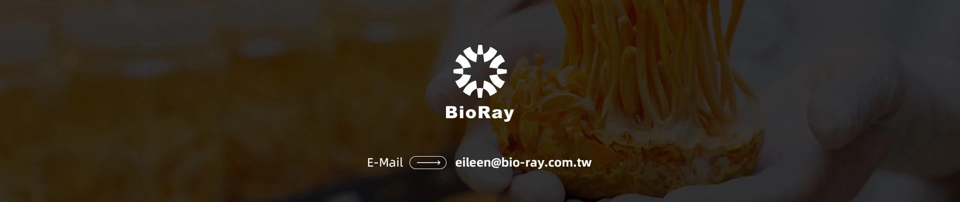 Company Overview - BIO-RAY BIOTECH. CO., LTD. PABP BRANCH