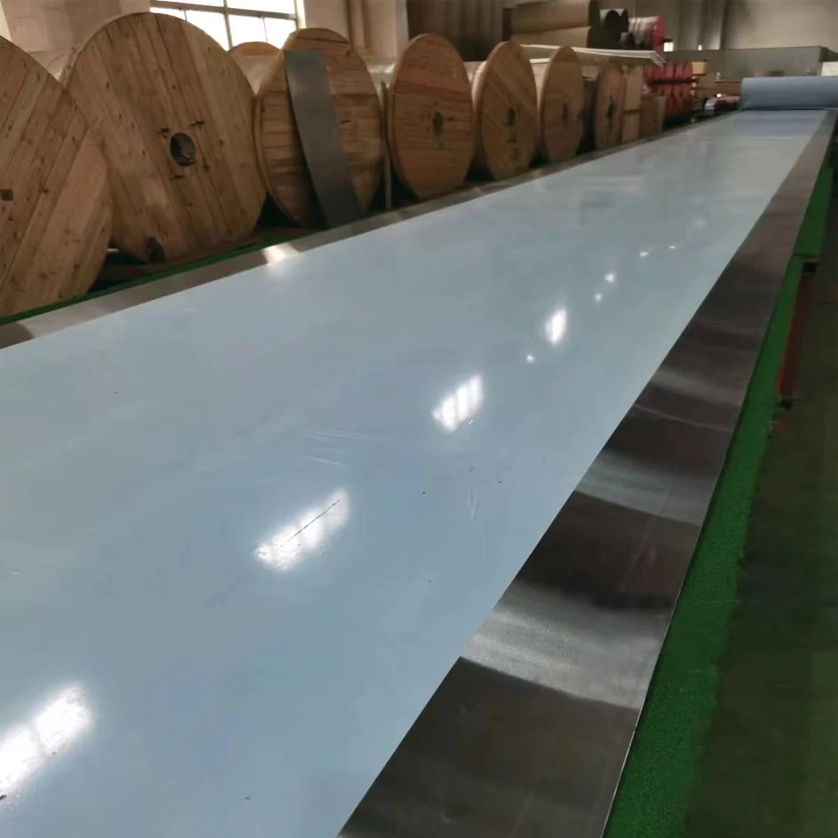 Stainless Steel Belt for Pastillator - Durable & Adjustable