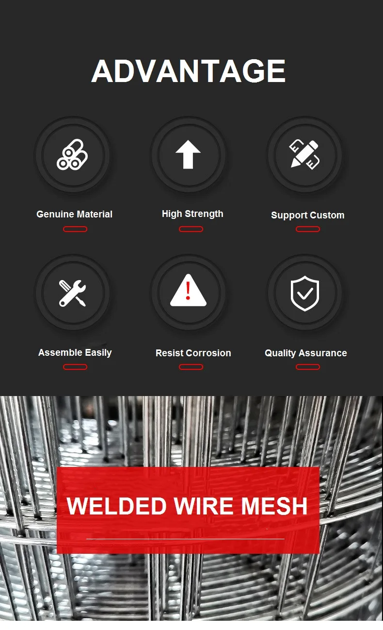 Galvanized 2x2 6x6 Concrete Reinforcement Welded Wire Mesh with Factory ...